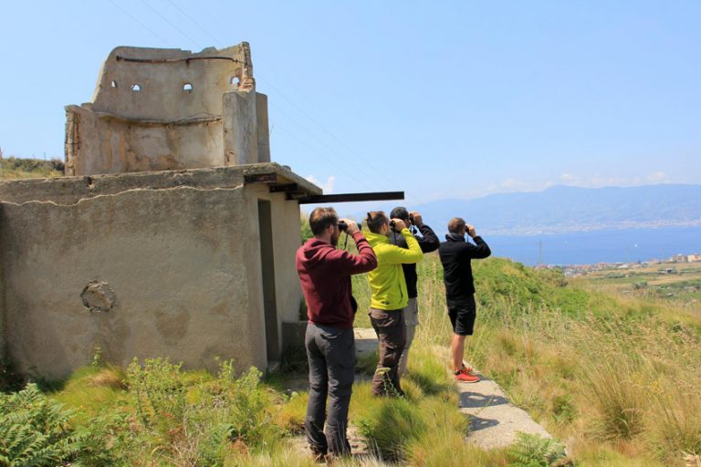 Visit to Italy gives hope to end illegal bird killing in Cyprus ...