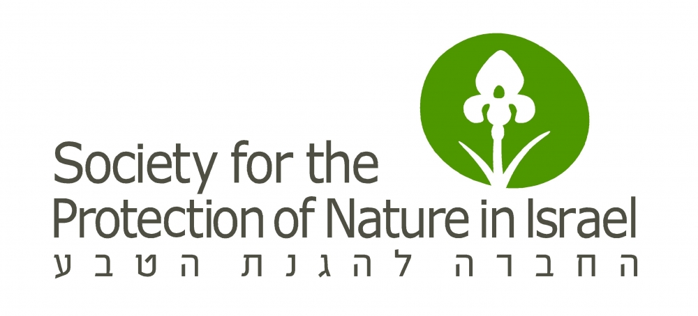 ‘153 birds’ flock to Kato Pafos - BirdLife Cyprus