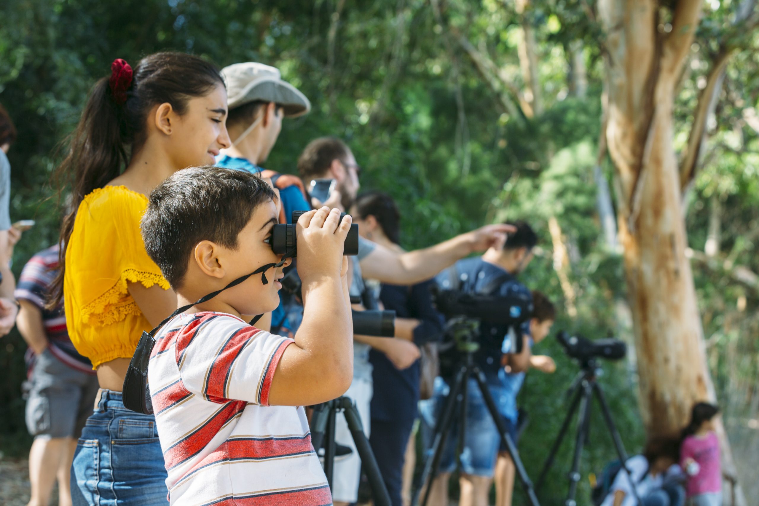 Games - BirdLife Cyprus