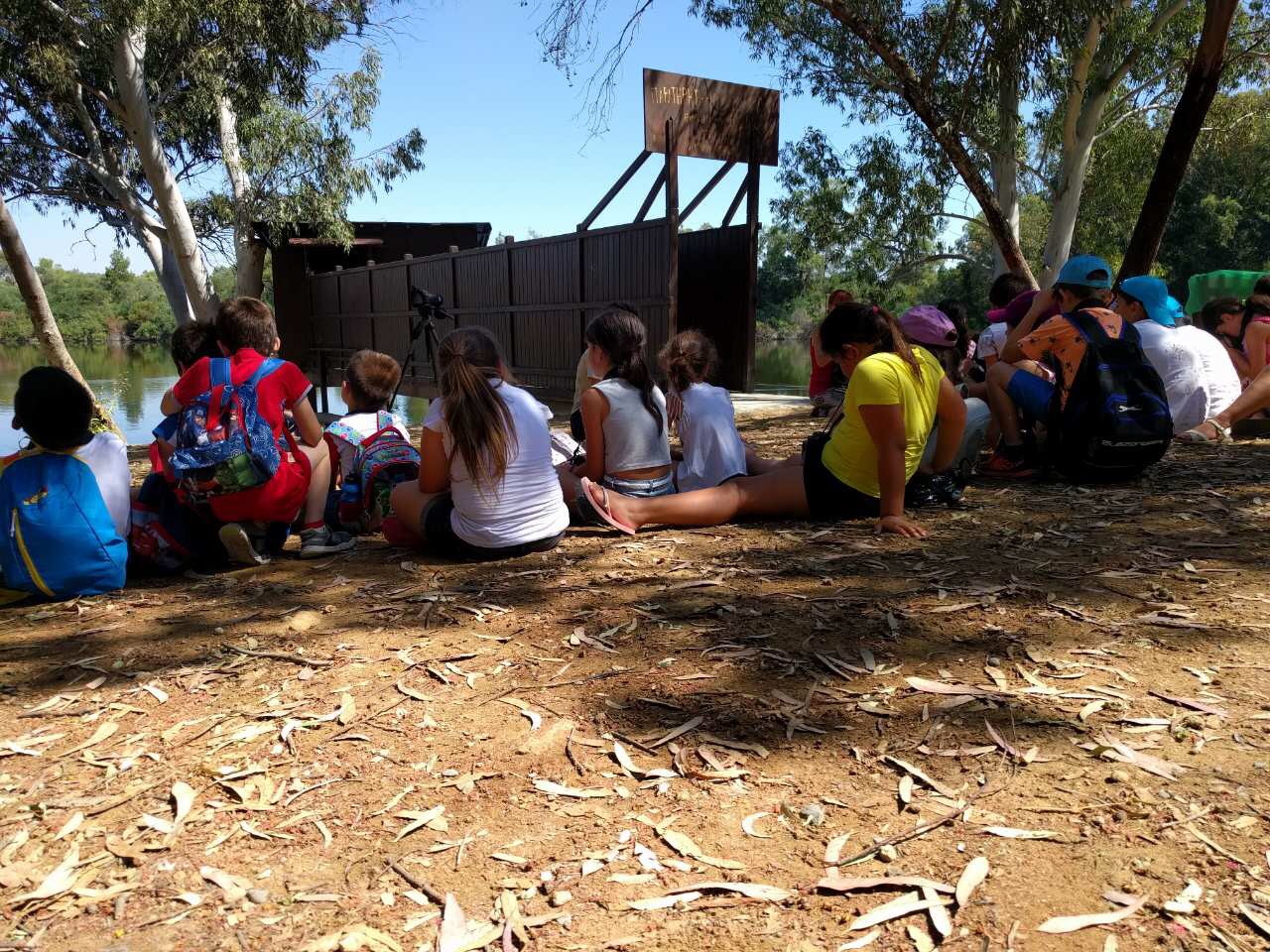 Activities and games - BirdLife Cyprus