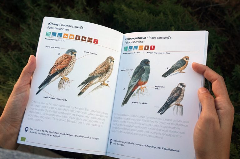 HomePage - BirdLife Cyprus