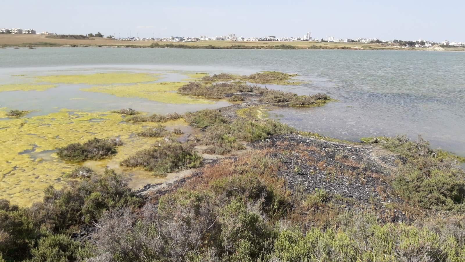 Monitoring birds with camera traps - BirdLife Cyprus