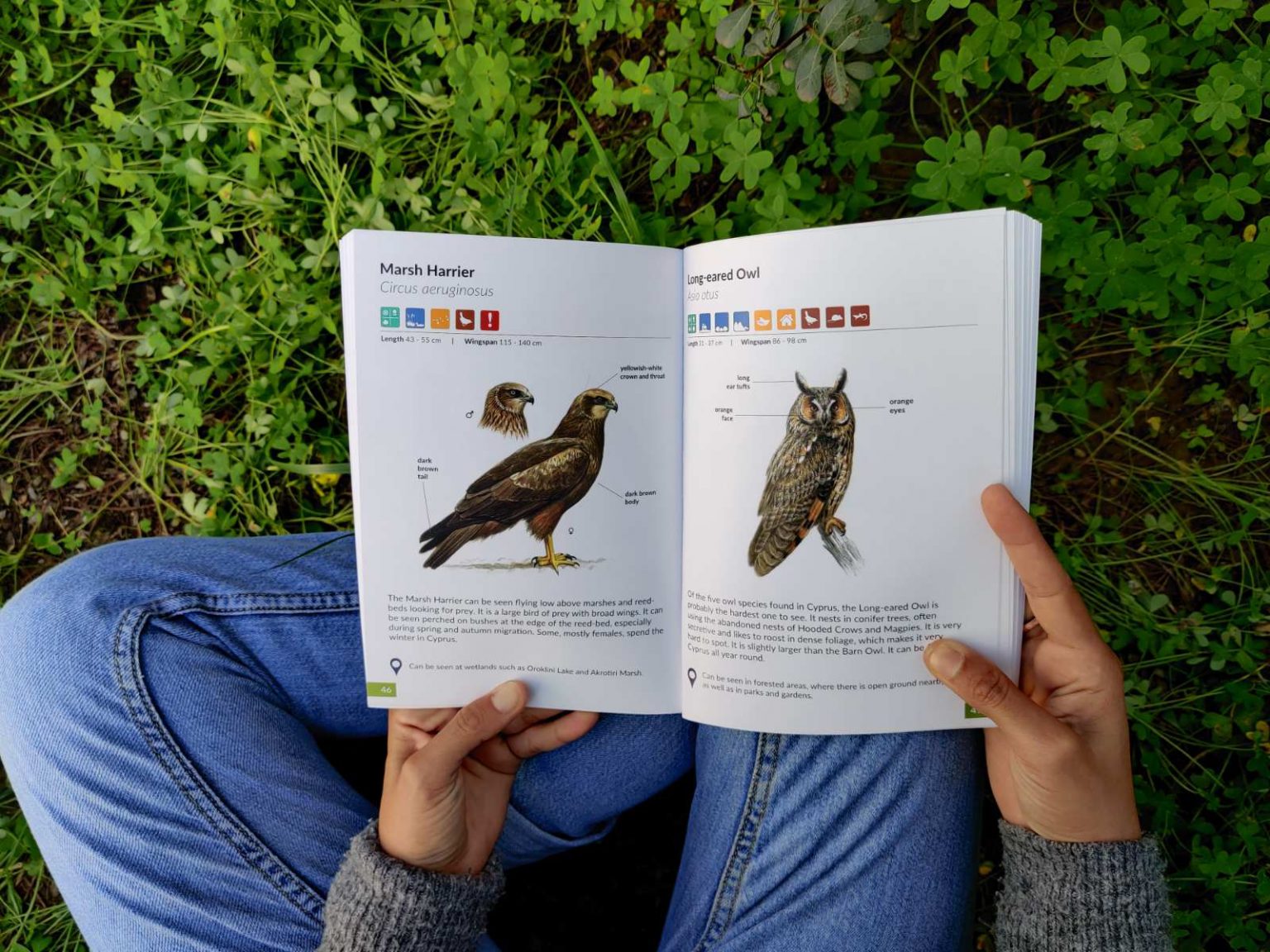 New bird guide for children: What’s that bird? A bird guide for young ...