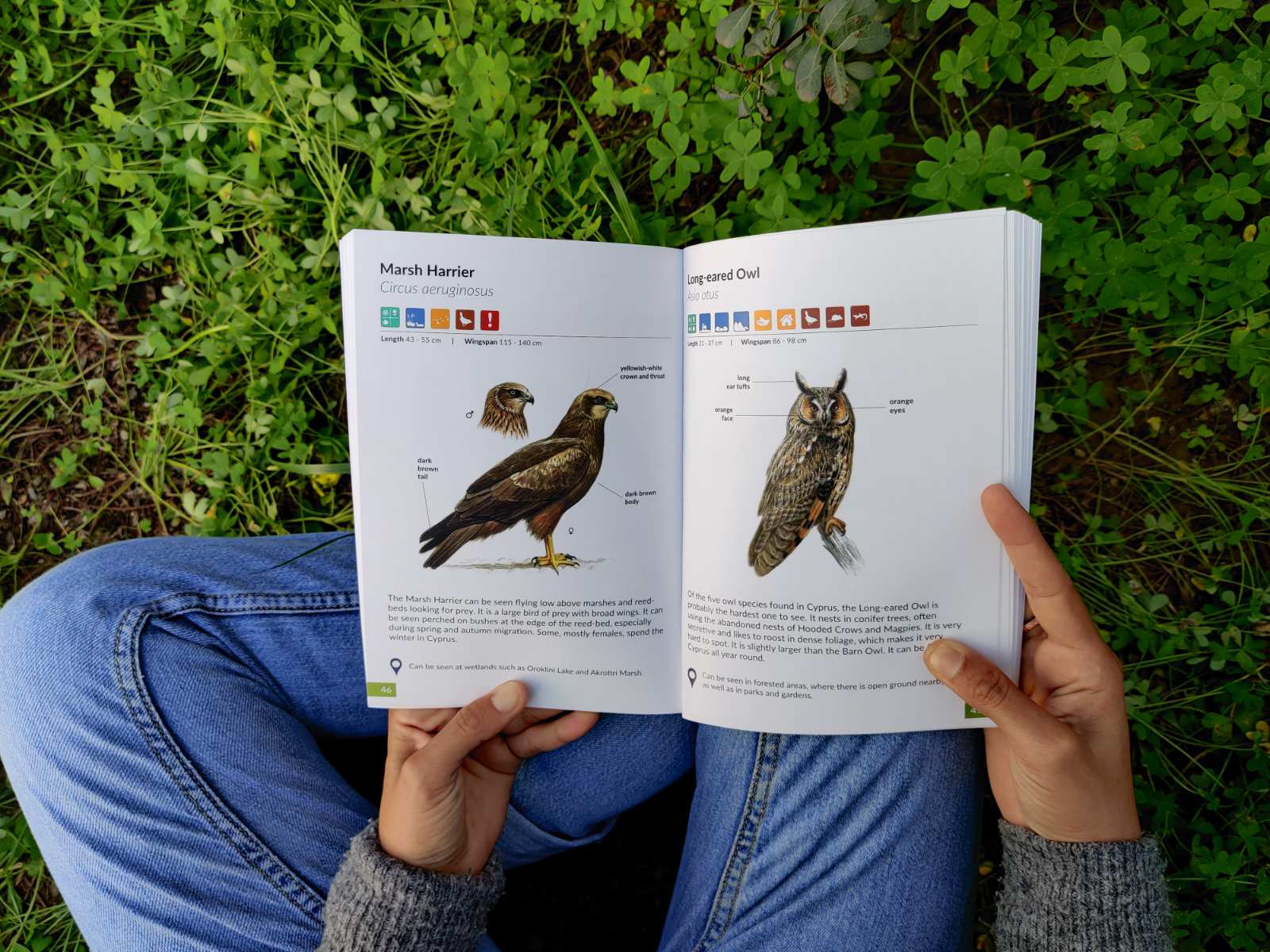 New bird guide for children: What’s that bird? A bird guide for young ...