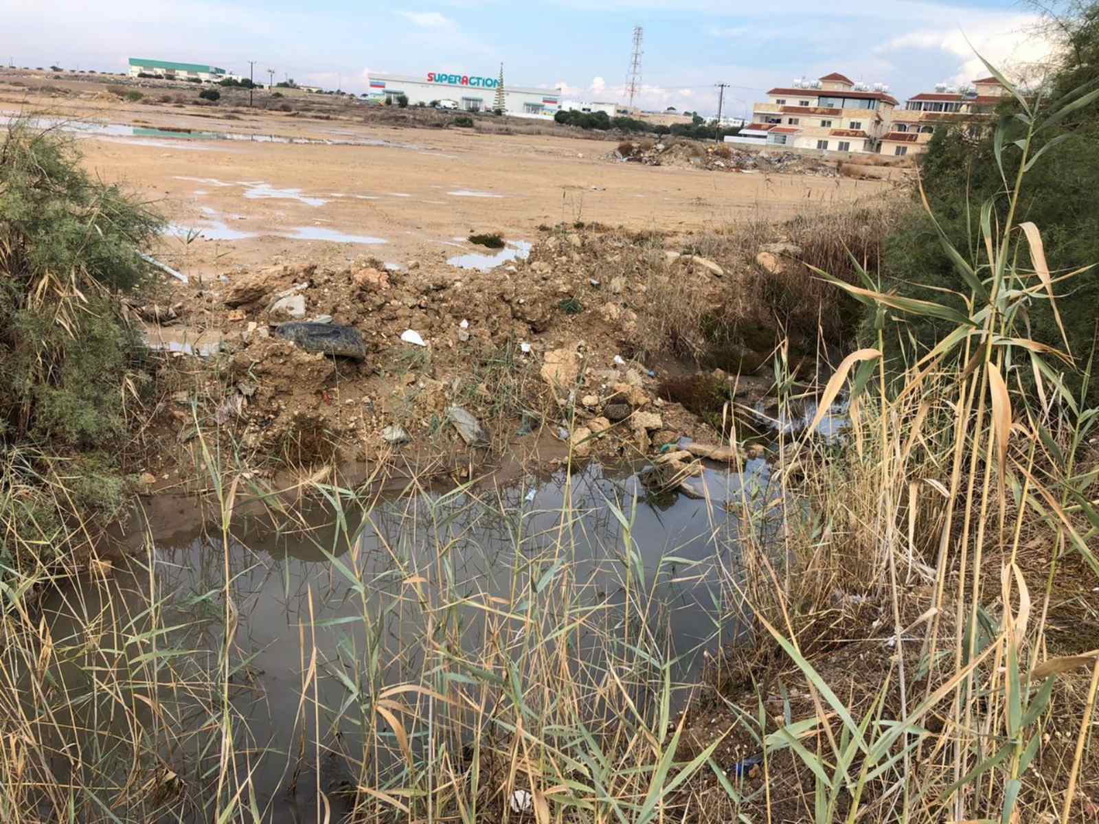 Wetlands and mosquitoes: On the road to sustainable solutions ...