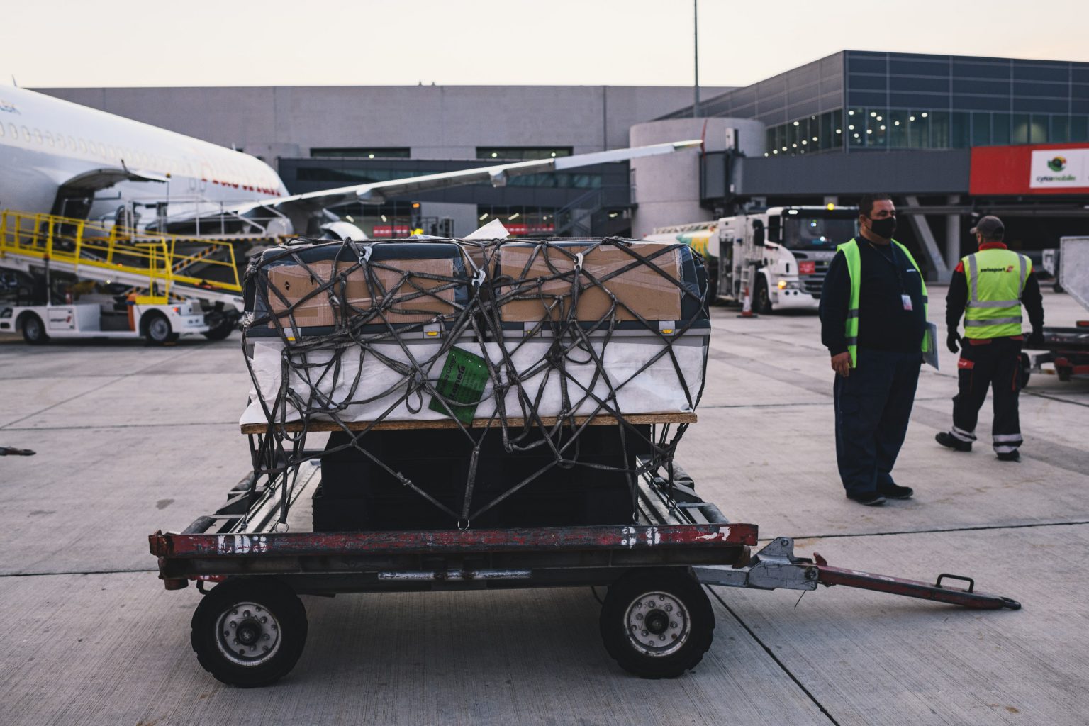 Cyprus welcomes 15 Griffon Vultures from Spain - BirdLife Cyprus