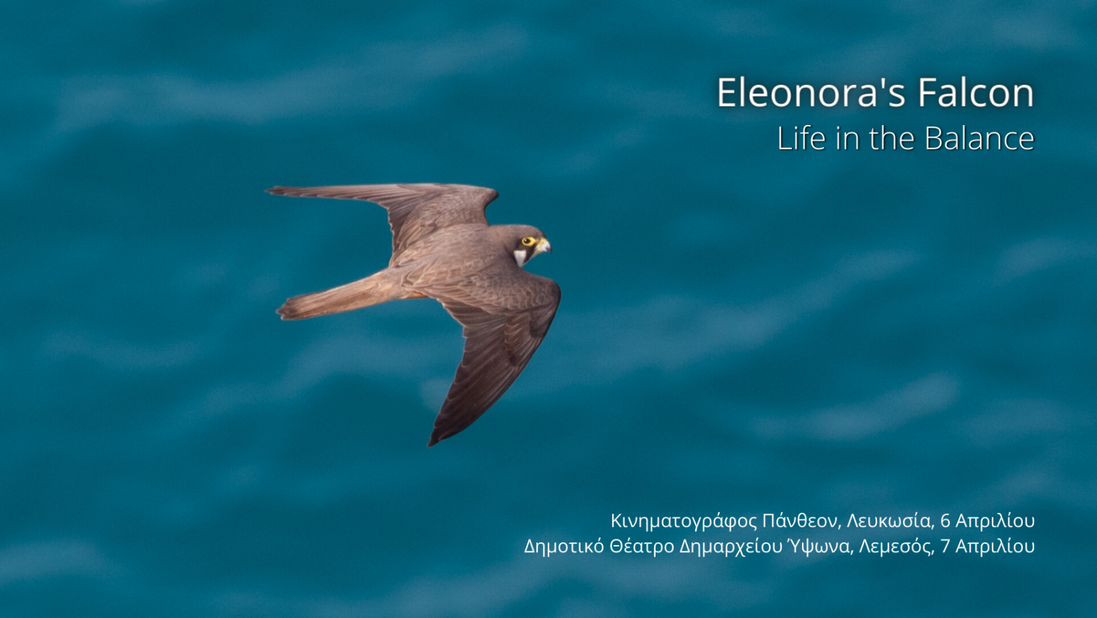 Events – BirdLife Cyprus