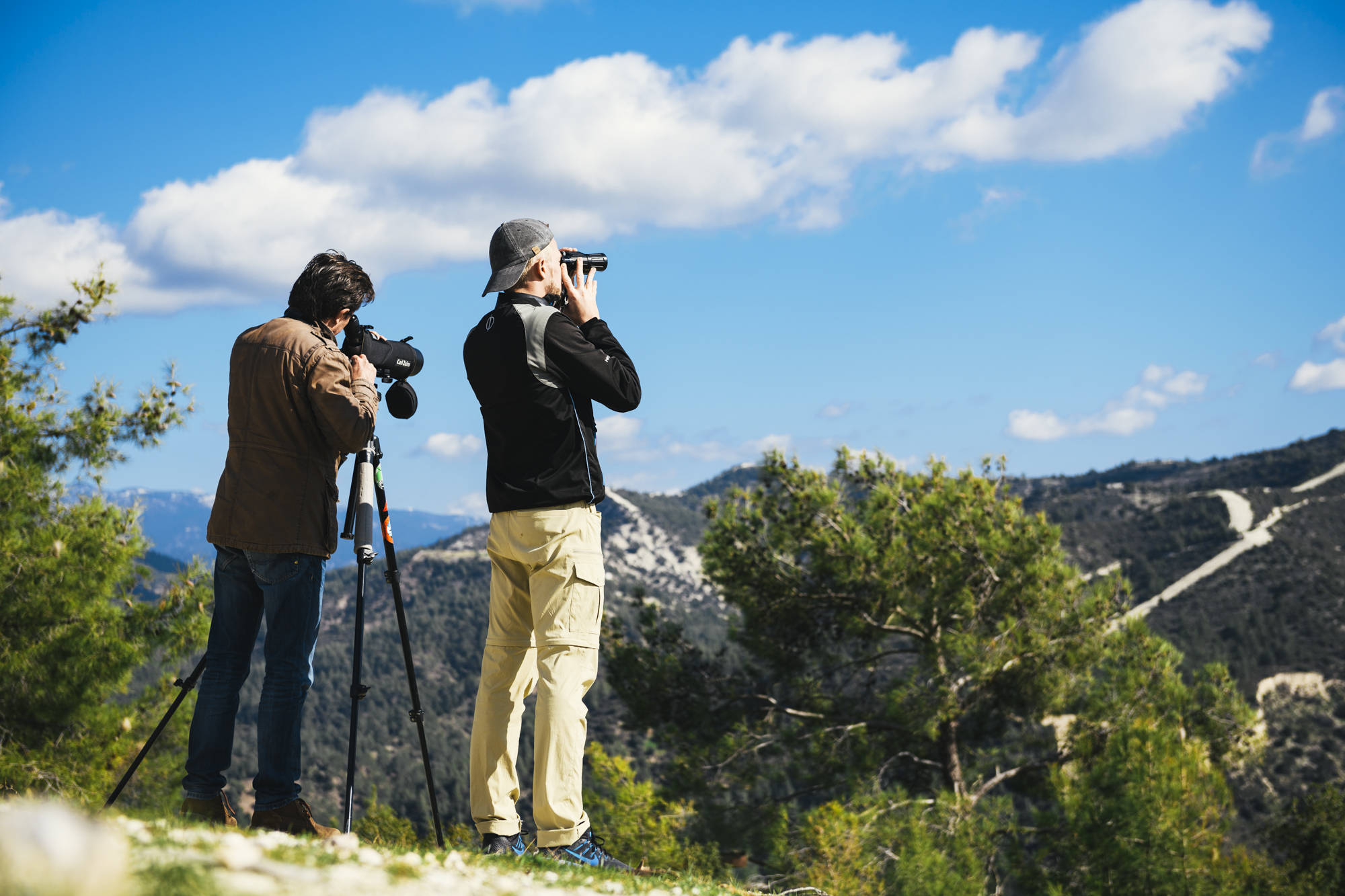 Bird ID course - BirdLife Cyprus