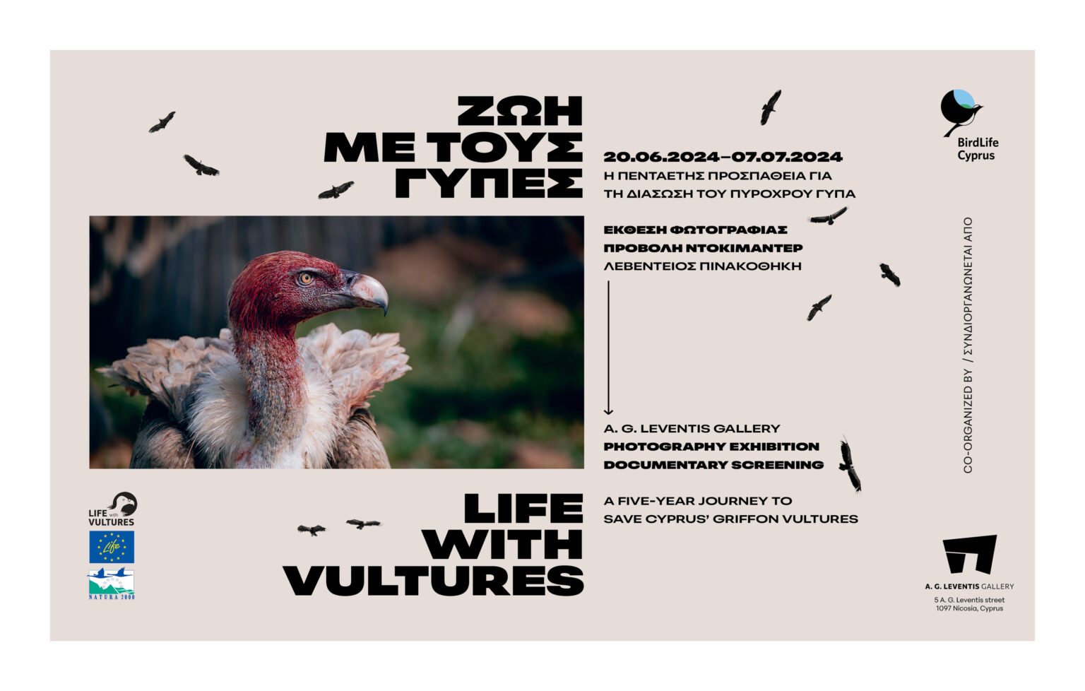 HomePage - BirdLife Cyprus