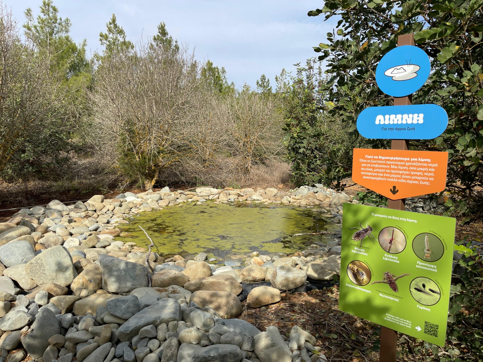 Our 2024 highlights - BirdLife Cyprus