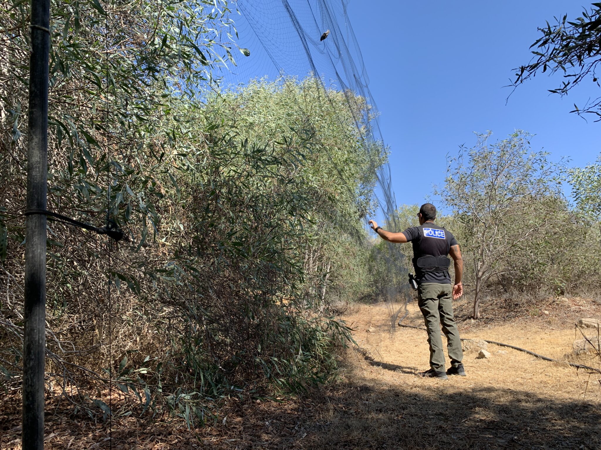 HomePage - BirdLife Cyprus